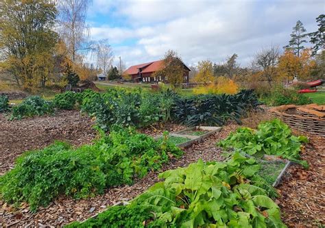Plots Amoskuil Swartland