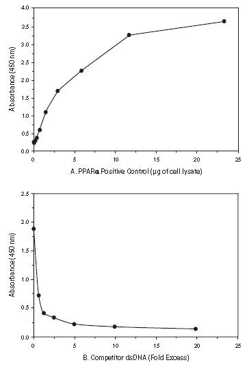 Ppar Alpha Transcription Factor Assay Kit Ab133107 Abcam