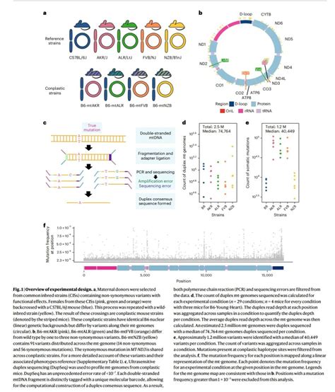 himanshu mishra on linkedin mitochondria evolutionarybiology ecology
