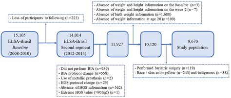 Anthropometric Trajectory In The Course Of Life And Occurrence Of Sarcopenia In Men And Women