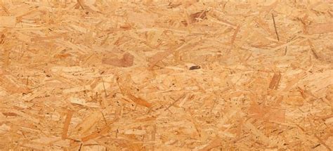 Osb Vs Particleboard