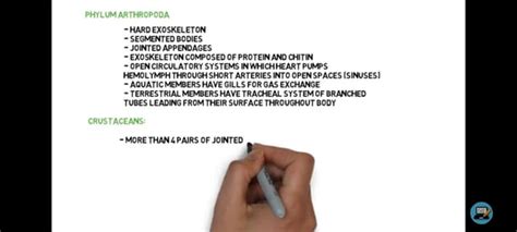Microecon Production Curves Not In Syllabus Ribo