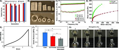 Characterization Of The Cylinder Optimization Conditions And Resulting