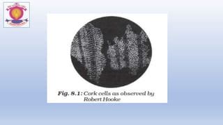 CELL STRUCTURE AND FUNCTIONS Pptx