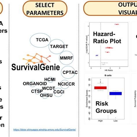 Of Steps For Performing Survival Analysis Using The Survival Genie