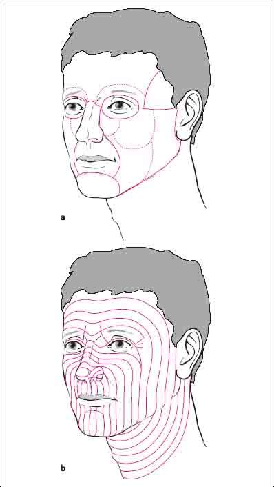 Reconstructive Plastic Surgery Of The Face Ento Key