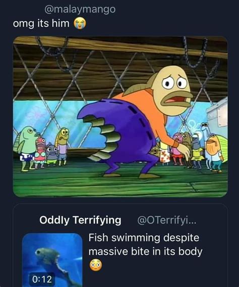 Butt Fish Meme By Bluehero Memedroid