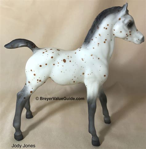 Leopard Appaloosa Foal