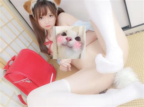 图馆长② on twitter ″魔物喵 ″22年9月合集[165p 13v]