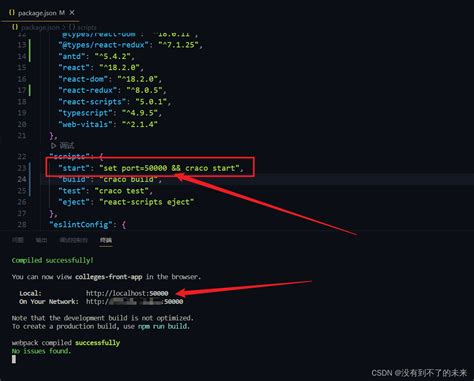 npm 启动服务 修改服务端口号 npm start 指定端口 csdn博客