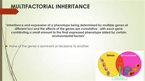 Multifactorial Disorders Pptx Genetics Science