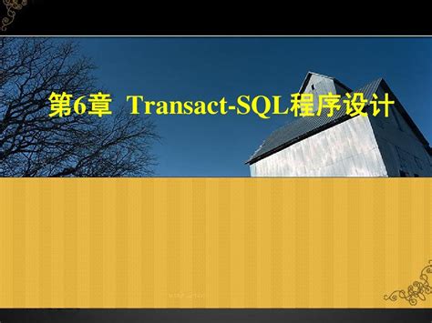 第6章 transact sql程序设计 word文档在线阅读与下载 无忧文档