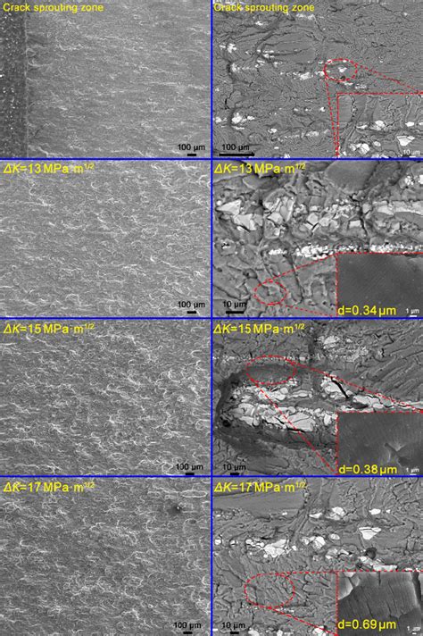 Fracture Morphology Of Fatigue Crack Extension Samples Corresponding To Download Scientific
