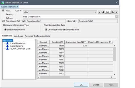 Initial Condition Set Menu Options