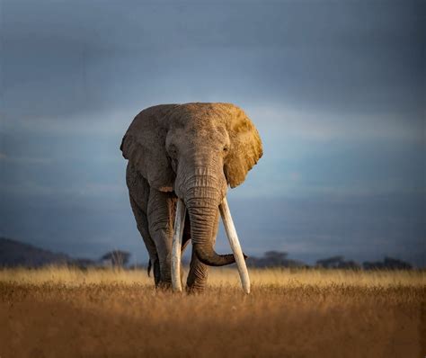 Securing Postgresql With Ssl A Step By Step Configuration Guide