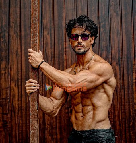 Tiger Shroff Photos Images Hd Wallpapers Tiger Shroff Hd Images