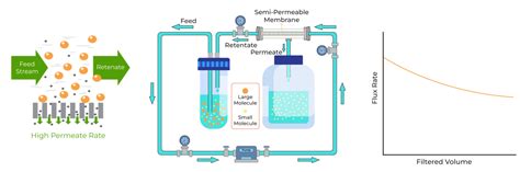 The Crucial Role Of Lab Scale Tangential Flow Filtration