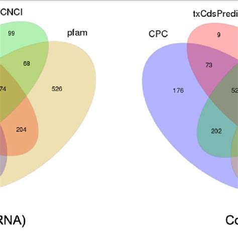 Prediction Of Long Noncoding Rna Lncrna And Messenger Rna Mrna