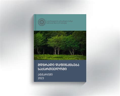 საქართველოს ეროვნული ბანკის მდგრადი დაფინანსების პოლიტიკა