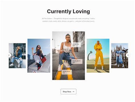 Styletrigger Online Store E Commerce Web Ui Design By Vaishali Rajput On Dribbble