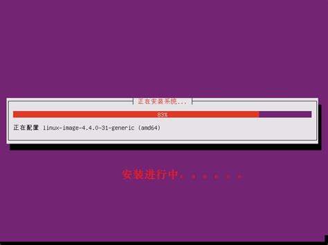 ubuntu（乌班图）服务器版16 04安装教程 哔哩哔哩