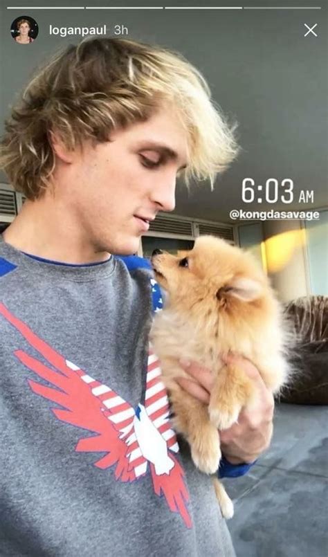 Pin by emahlie covell on Jake and Logan | Logan paul kong, Logan paul, Logan jake paul