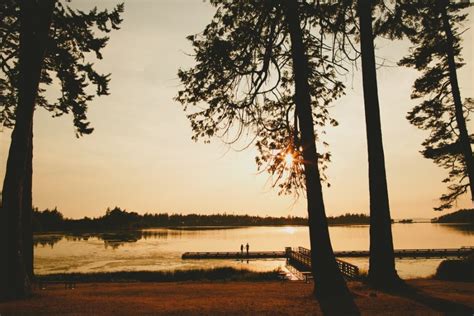 Dating And Relationships Jordan Pickell Counselling