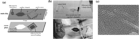 A Computer Aided Design Of A Plastic Microfluidic Main Chip Including