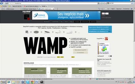 controle de login flex builder 3 php e mysql