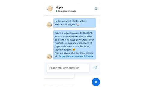 Carrefour Launches Hopla A Chatbot Based On Chatgpt For Shopping