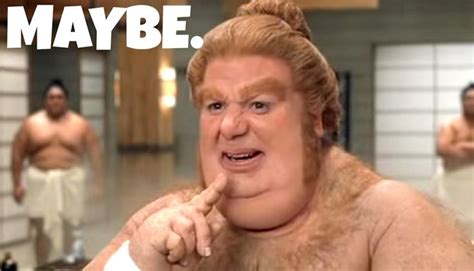 Funny Fat Quotes