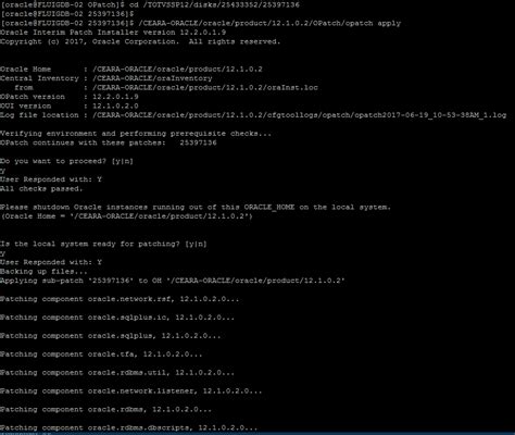 Aplicando O Oracle Database Bundle Patch Bp E O Oracle Javavm