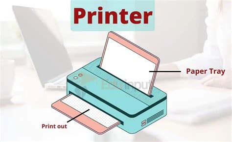 Difference Between Input Devices And Output Devices