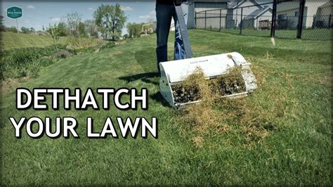 How To Dethatch And Fix Your Lawn Youtube