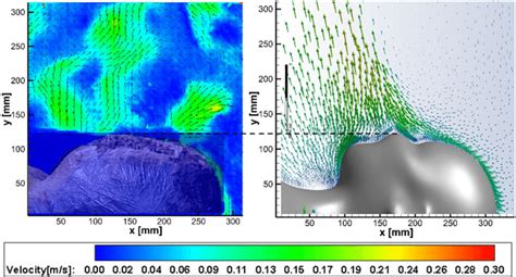 Velocity Vectors For The Patient Left Piv Measurements Right Cfd