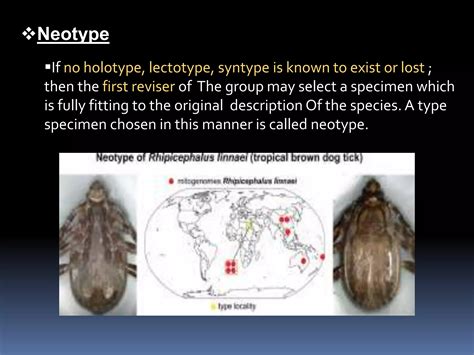 typification and type pptx