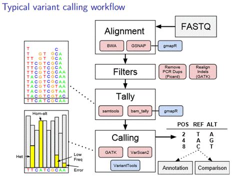 variant calling 이란 deep play