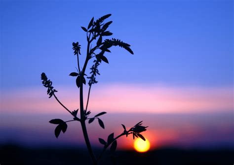 Energy Toolbase And Sol Ark What Of The Partnership