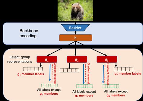 proposed model architecture for a attribute prediction task and b