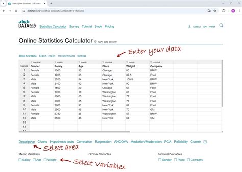 Hypothesis Testing Calculator T Distributions
