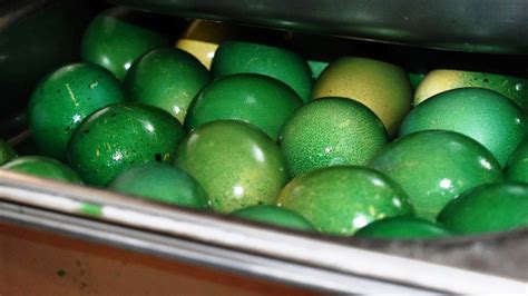 В община Разград потребителите на услугата „Топъл обяд” получиха шарени