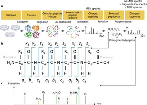 Prediction Of Peptide Mass Spectral Libraries With Machine Learning