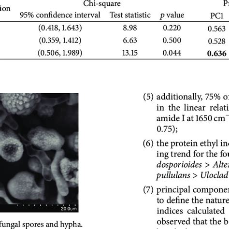 Summary Of The Chi Square Test And Principal Component Analysis Strong