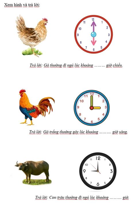 Toán Cơ Bản Lớp 1 Kỳ 2 Thời Gian Và Lịch Con Vật Này Làm Gì Lúc Nào Kho Tài Liệu Tư Duy