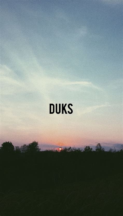 Ducks Wallpaper For A Serene Home Decor