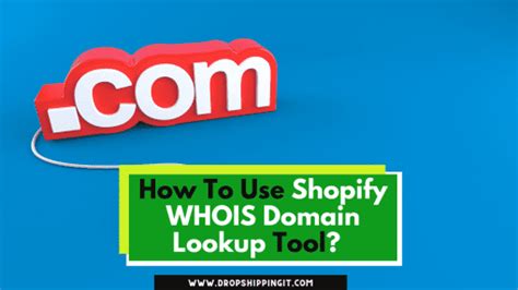 How To Use Shopify Whois Domain Lookup Tool