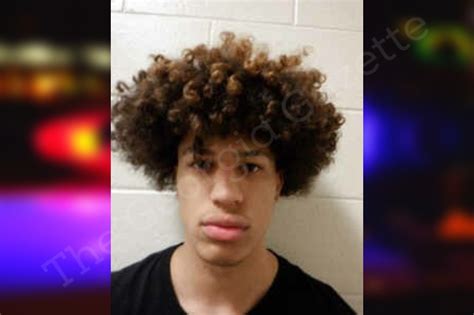 Jovan Williams — Henry County Jail Bookings