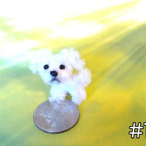 Chenille Stem Doll Etsy