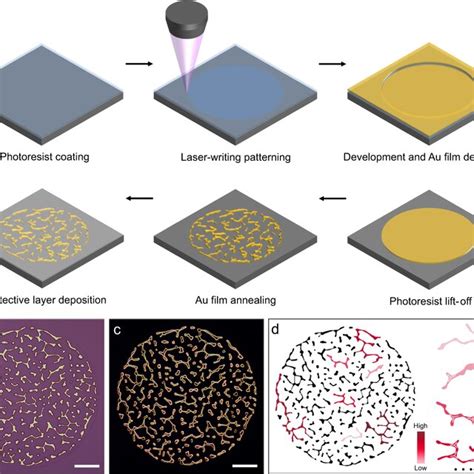 Fabrication And Characterization Of Random Fractal Guided Pufs A Flow