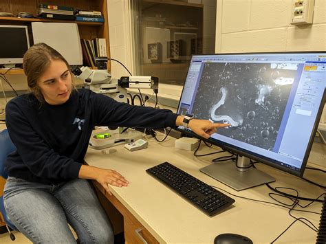Microscope Empowers New Research Teaching News And Events